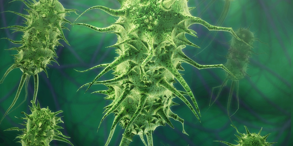 E Coli Total Coliform In Commercial Spas Swimming Pools And Drinking Water Olympian Water