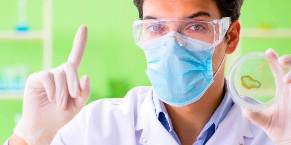 Risks Of Coliform Bacteria In Drinking Water Olympian Water Testing Llc