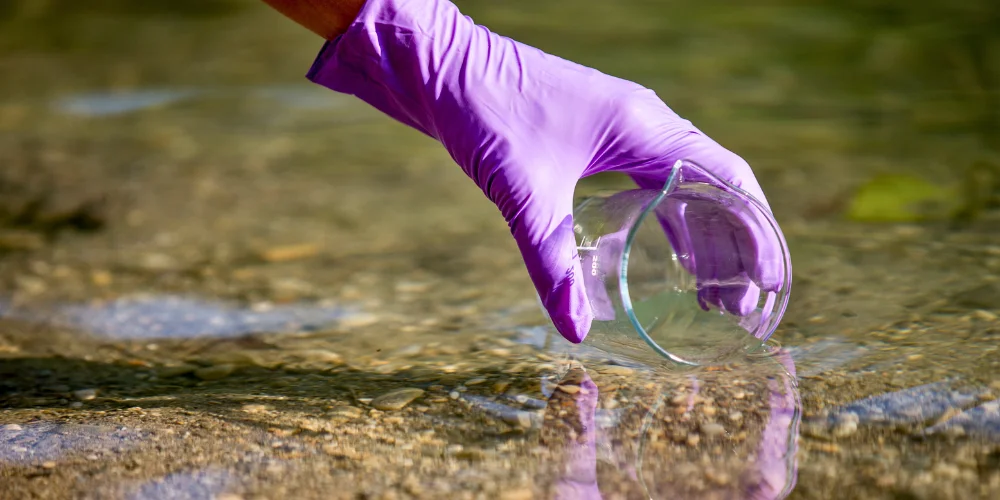 Rebuilding the Environment: The Vital Importance of Water Quality for ...