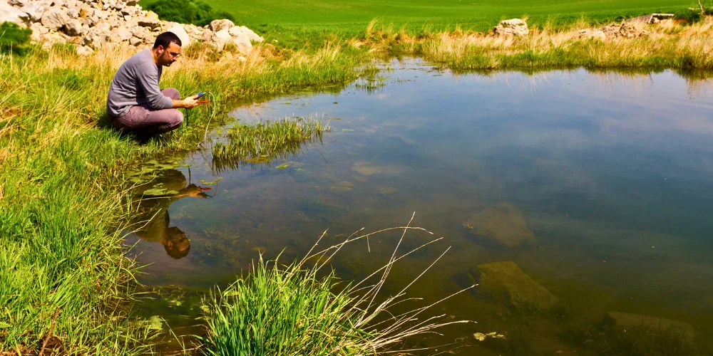 Exploring the Environmental Fate of Chloroform in Water Systems ...