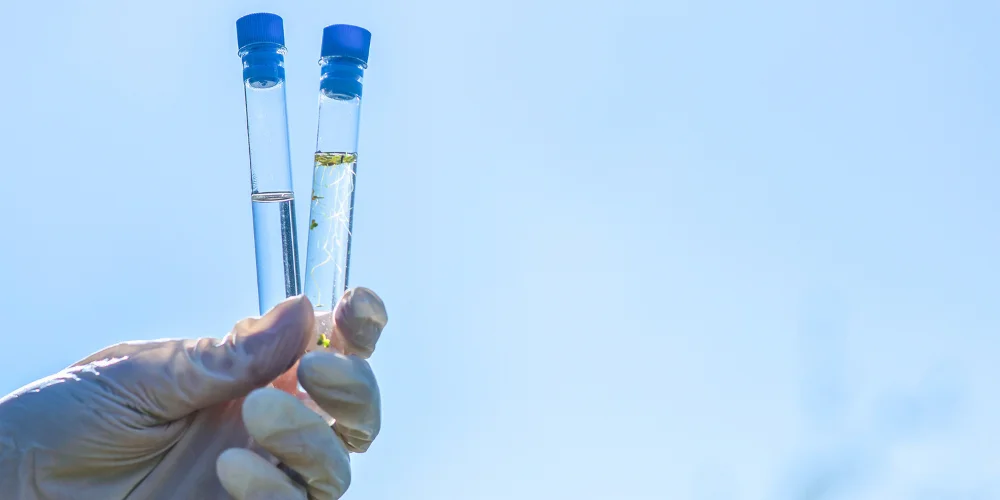 Benefits of Water Quality Monitoring for Environmental Sustainability ...