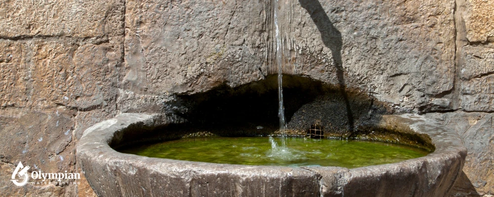 Rural Public Health and Water Quality: The Connection - Olympian Water ...