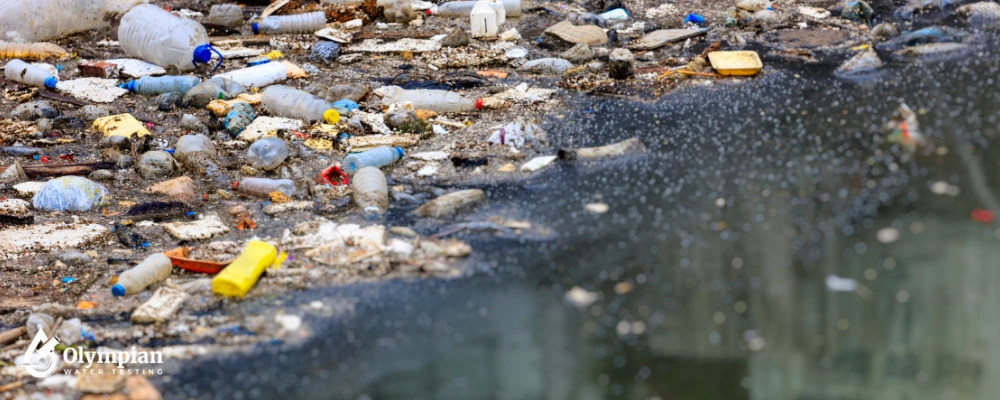 Contaminant Chronicles: Uncovering the Different Types of Water ...