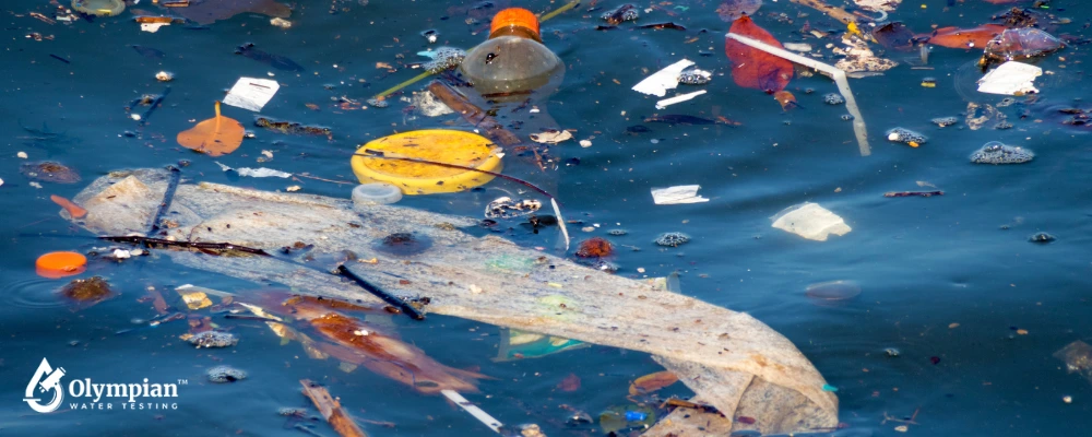 Alarming Water Quality Concerns in Barbados - Olympian Water Testing, LLC