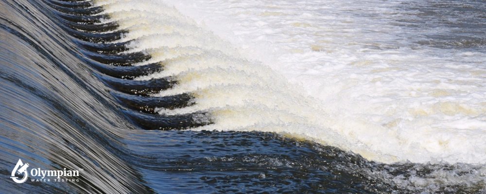 Importance of Water Management for Disaster Relief and Emergency ...