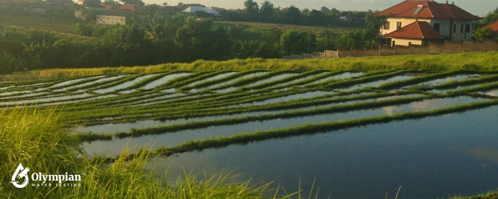 Importance of Water Quality in Agriculture - Olympian Water Testing, LLC