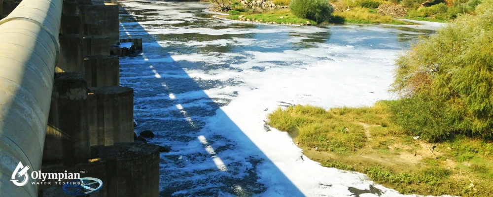 Government Accountability in Enforcing Water Quality Regulations ...