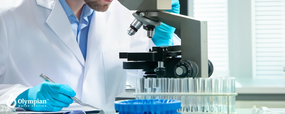 Understanding Different Methods of Water Quality Testing - Olympian ...