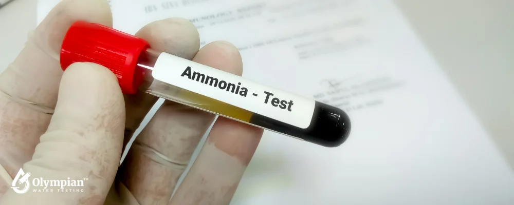 Ammonia in Drinking Water: Sources, Occurrence, and Removal Techniques ...