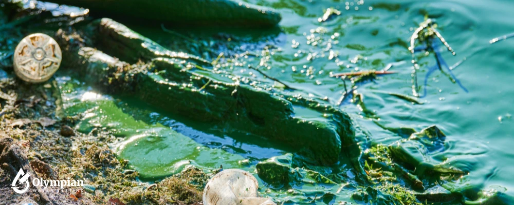 The Basics of Water Odor Testing, A Comprehensive Guide - Olympian ...