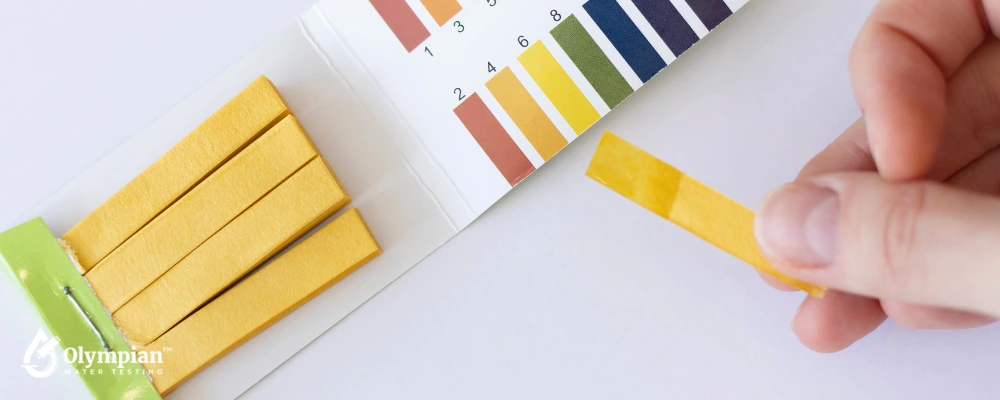 The Importance of Regular PH Testing in Water - Olympian Water Testing, LLC