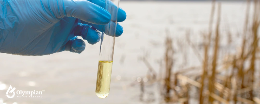 A Guide to Understanding Water Quality Indicators and Standards ...