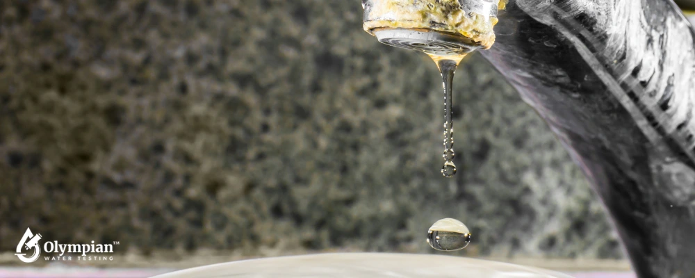 Heavy Metals in Drinking Water: A Guide for Parents and Caregivers ...
