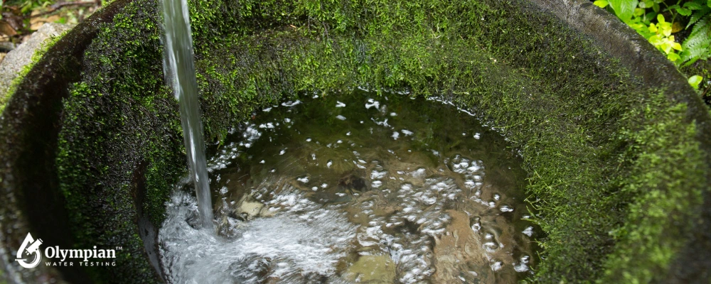 Spring Water Filtration and Treatment Methods - Olympian Water Testing, LLC