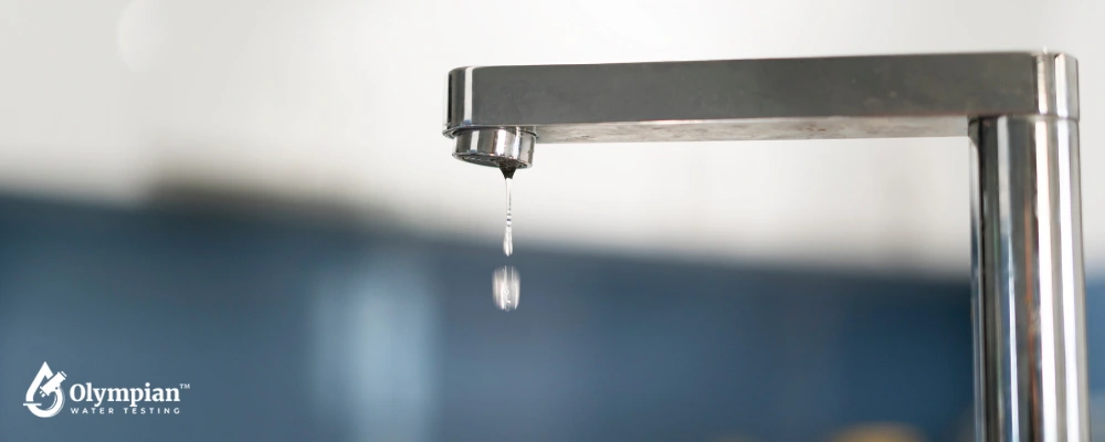 Understanding the Chemical Composition of Carbonated Water - Olympian ...