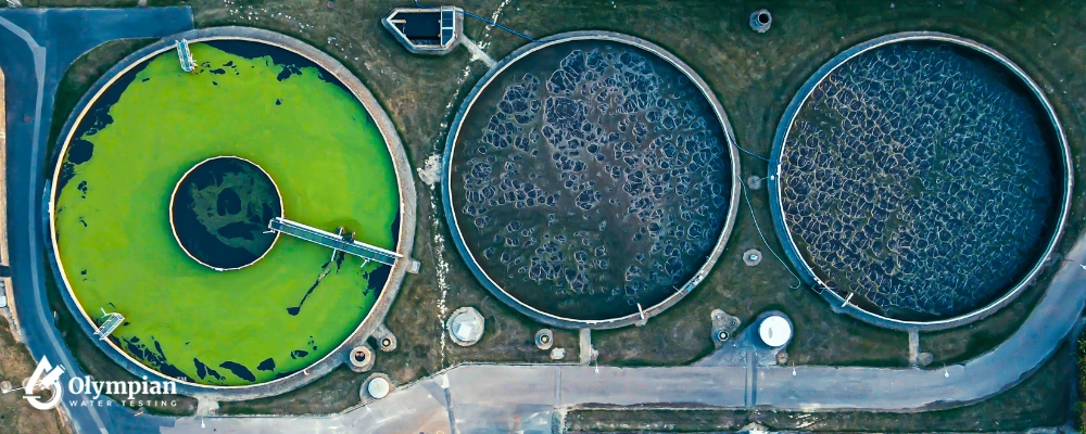 Ammonia and Nitrification in Wastewater Treatment Systems - Olympian ...